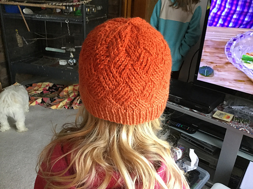 Ravelry: Shrubbery Toque pattern by Stargazer Studios