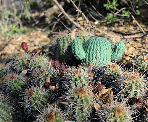 Ravelry: Desert Flora Knit Cactus pattern by Fiber Chronicles