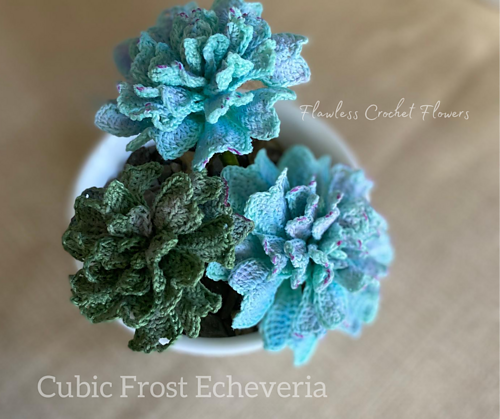 Ravelry: Cubic Frost Echeveria pattern by Leticia Lebron