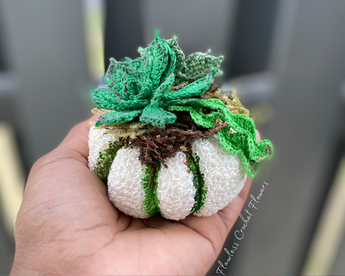Ravelry: Succulent Topped Pumpkins pattern by Leticia Lebron