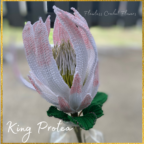 Ravelry: King & Queen Protea pattern by Leticia Lebron