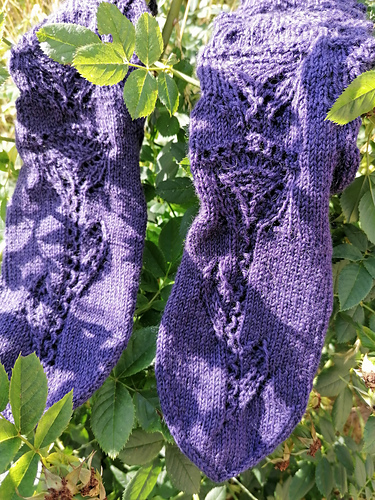Ravelry: Thistle Down Socks pattern by Laura Fahlin