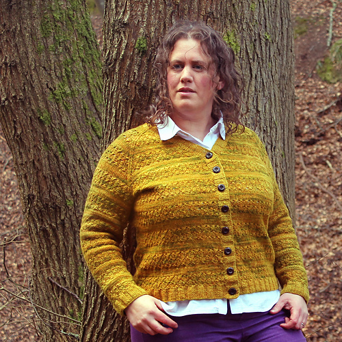 Ravelry: Ferness pattern by Emily K Williams
