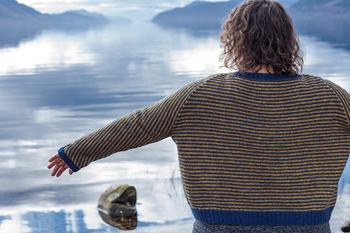 Ravelry: Canisp pattern by Emily K Williams