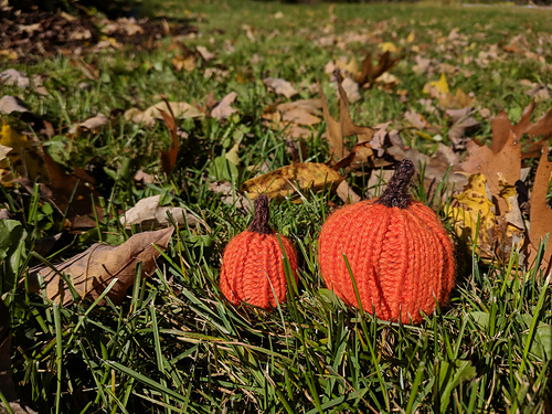 Ravelry: Tiny (and Tinier) Pumpkins pattern by Nicole Flynn