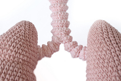 Ravelry: Anatomical human lungs pattern by Liza Frantseva