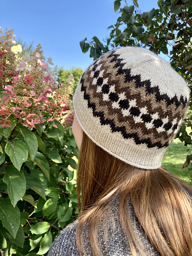 Ravelry: Wild Flowers Beanie Hat pattern by Lori Ihnen