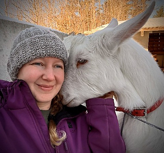 Ravelry: Tracking Pack Goats pattern by Verna Holderman