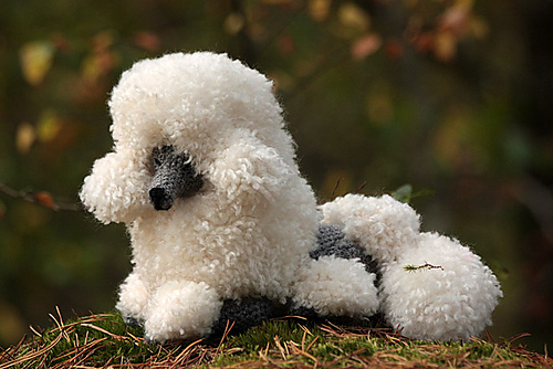 Ravelry: Poodle pattern by Jessica Pilhede