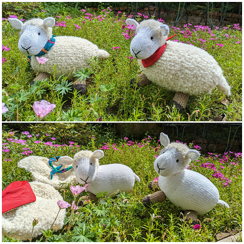 Ravelry: Shearable Sheep pattern by Chloe Duperron