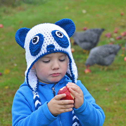 Ravelry: Panda Bear Hat pattern by Lisa M Fox