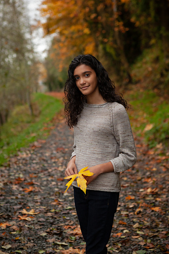 Ravelry: Chicory pattern by Susan Moskwa