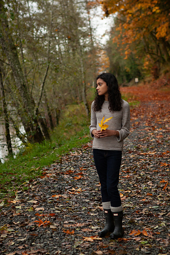 Ravelry: Chicory pattern by Susan Moskwa