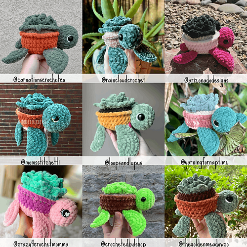 Ravelry: Succulent Plant Turtle pattern by Megan Fetzer