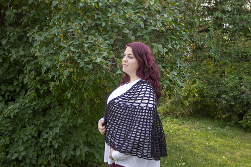Ravelry: Spider Web Shawl pattern by Katie Hansen