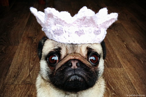 Ravelry: Pretty Puppy Crown pattern by Olivia Kent