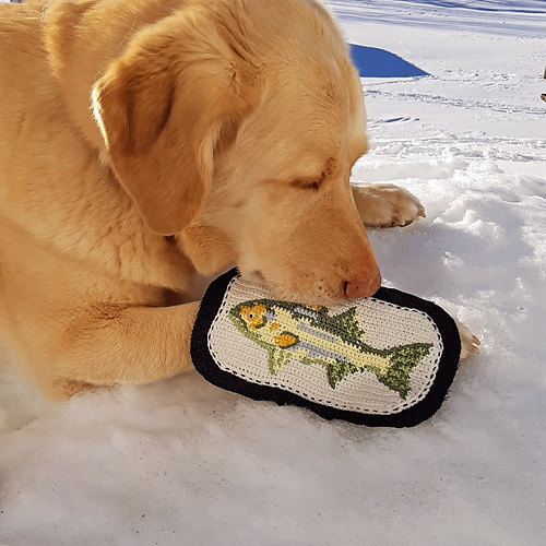 Ravelry: Fishy fish patch pattern by Noémie Leymonerie