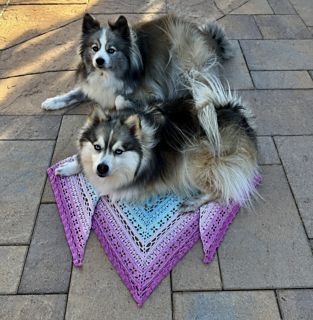Ravelry: The Malfy Shawl pattern by Huskyberry