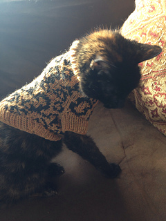 Ravelry: Janis' Vivi's Sweater