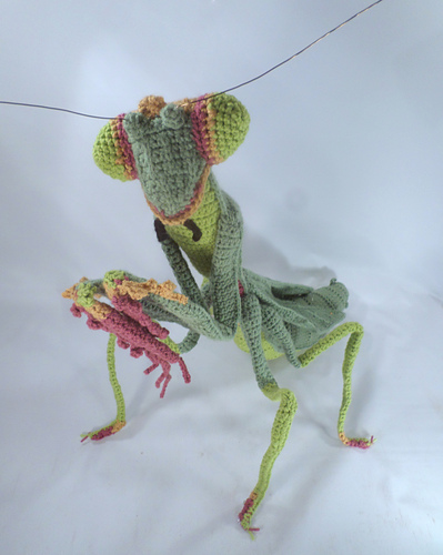 Ravelry: Praying Mantis pattern by Jenna Wingate