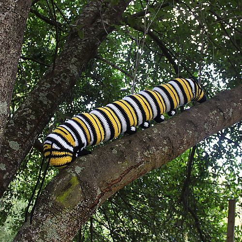 Ravelry: Monarch Butterfly Caterpillar pattern by Jenna Wingate