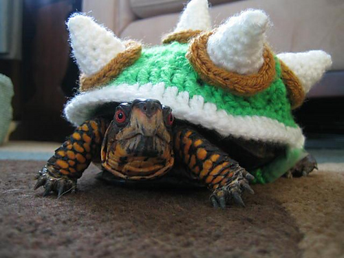 Ravelry: Bowser Costume for a Box Turtle pattern by Jennifer Olivarez