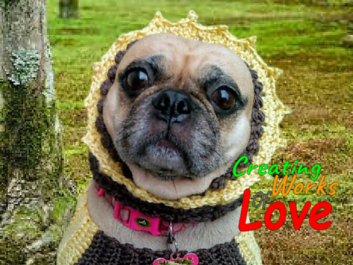 Ravelry: Sunflower Dog Costume pattern by Jennifer MacEwen