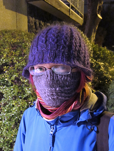 Ravelry: Old Shale Face Warmer pattern by Jonathan Beall