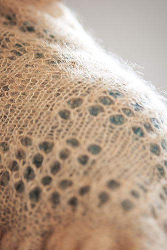 Ravelry: Victorian Fichu pattern by Kerin Dimeler-Laurence