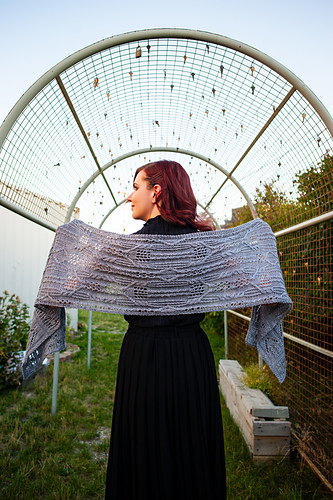 Ravelry: Champagne and Silk Wrap pattern by Padma R
