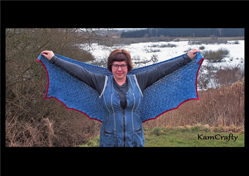 Ravelry: The Princess Batwing Shawl pattern by Kamilla Bonnichsen
