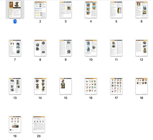 Ravelry: 195 Proshka the Bear pattern by LittleOwlsHut