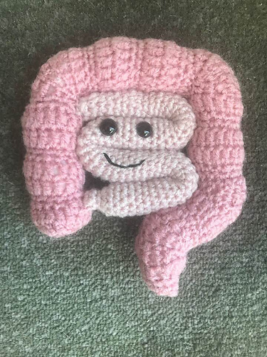 Ravelry: Bowel/ Intestine pattern by kate axe