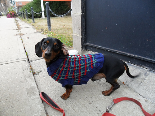 Ravelry: Tartan Classic pattern by Patons