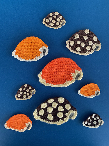 Ravelry: Cowrie Shell pattern by Kerri Brown