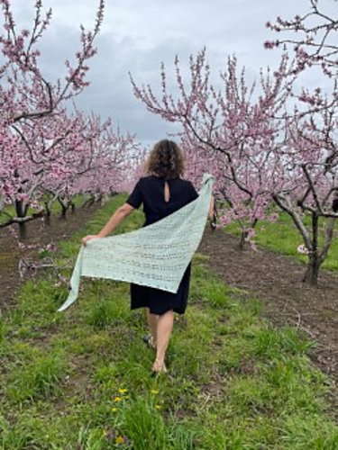 Ravelry: Bloemenveld Shawl pattern by The Kitchen Sink Shop