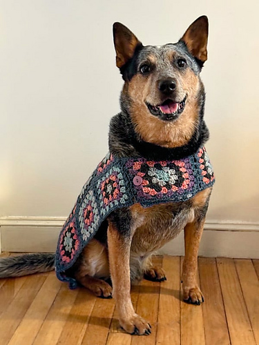 Ravelry: Odie pattern by Mel Kennelly