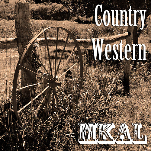 Ravelry: Country Western pattern by Lindsay Lewchuk