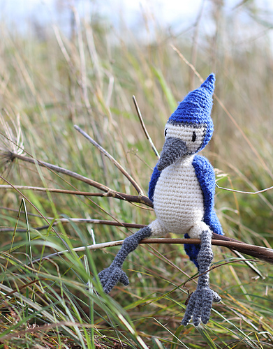 Ravelry: Jorge the Jay pattern by Kerry Lord