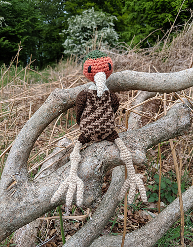 Ravelry: Gilbert the Pheasant pattern by Kerry Lord