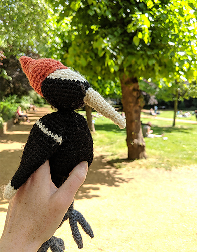 Ravelry: Scott the Woodpecker pattern by Kerry Lord
