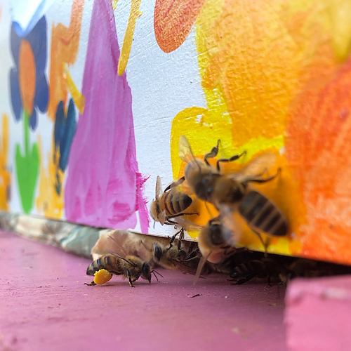 Ravelry: Pollen Dots Cowl pattern by Charlotte Marjoribanks