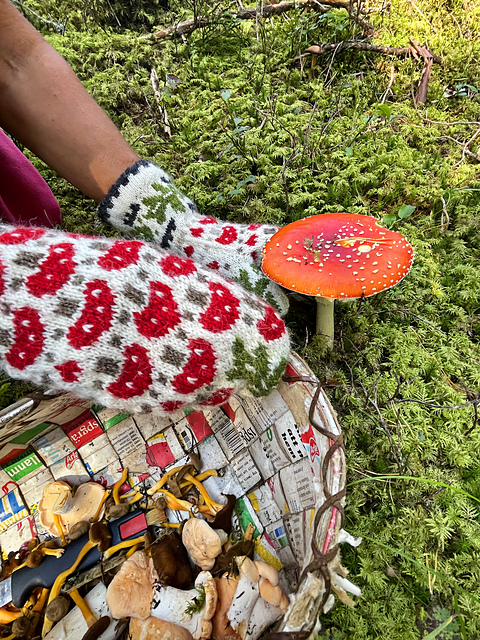 Ravelry: Designs by knittinglotta