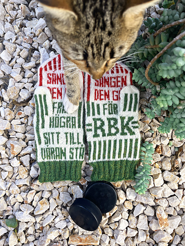 Ravelry: Rögle BK pattern by knittinglotta