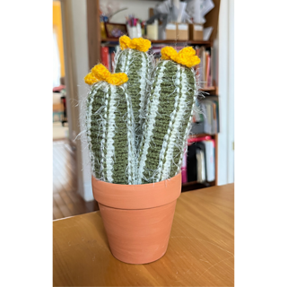 Ravelry: Column Cacti pattern by Emily Sullivan