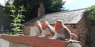 Ravelry: Robin pattern by Julie Lunt