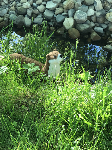Ravelry: River Otter pattern by Sara Elizabeth Kellner