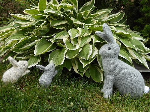 Ravelry: Spring Rabbit pattern by Sara Elizabeth Kellner
