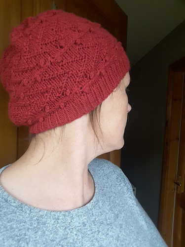 Ravelry: Lights and Twigs Hat pattern by Barbara Nalewko
