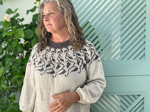 Ravelry: Pothos Pullover pattern by Gabriella Roberts
